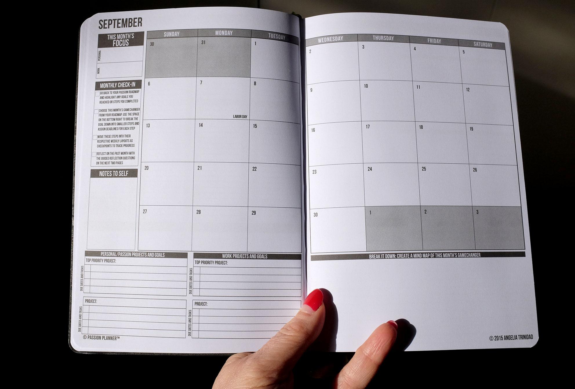 Getting Organised The Passion Planner Zinc Moon